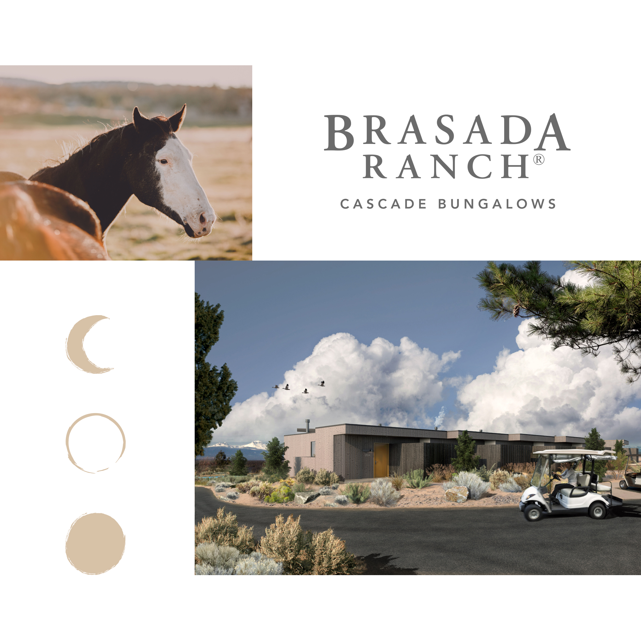 Hospitality Branding Strategy for Cascade Bungalows Oregon Resort ...